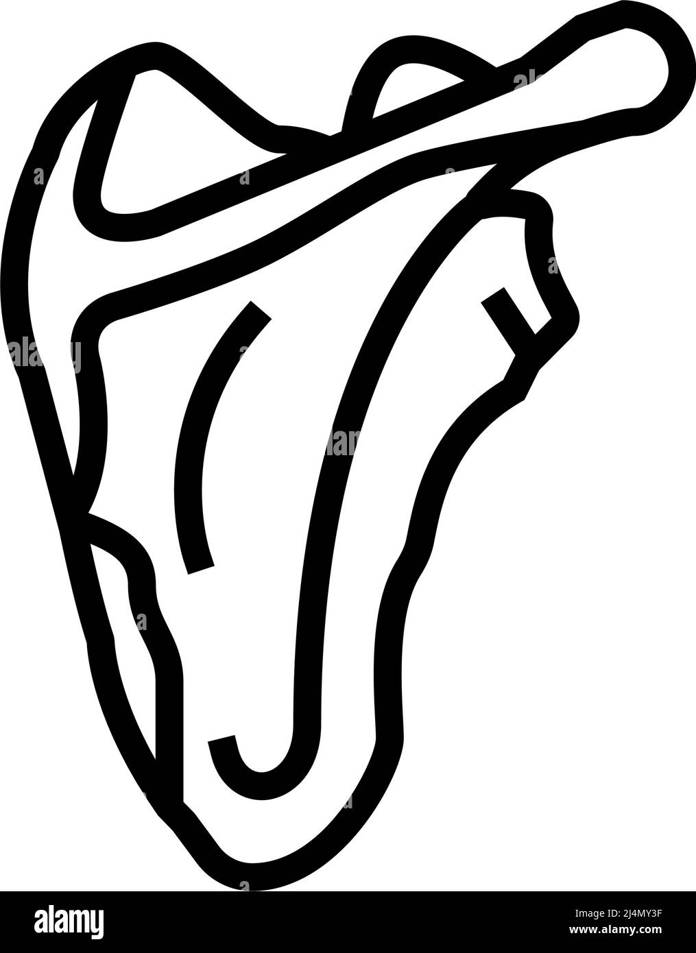 scapula bone line icon vector illustration Stock Vector Image & Art - Alamy