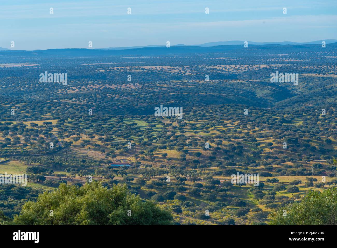 Aerial country road orchards farm hi-res stock photography and images ...