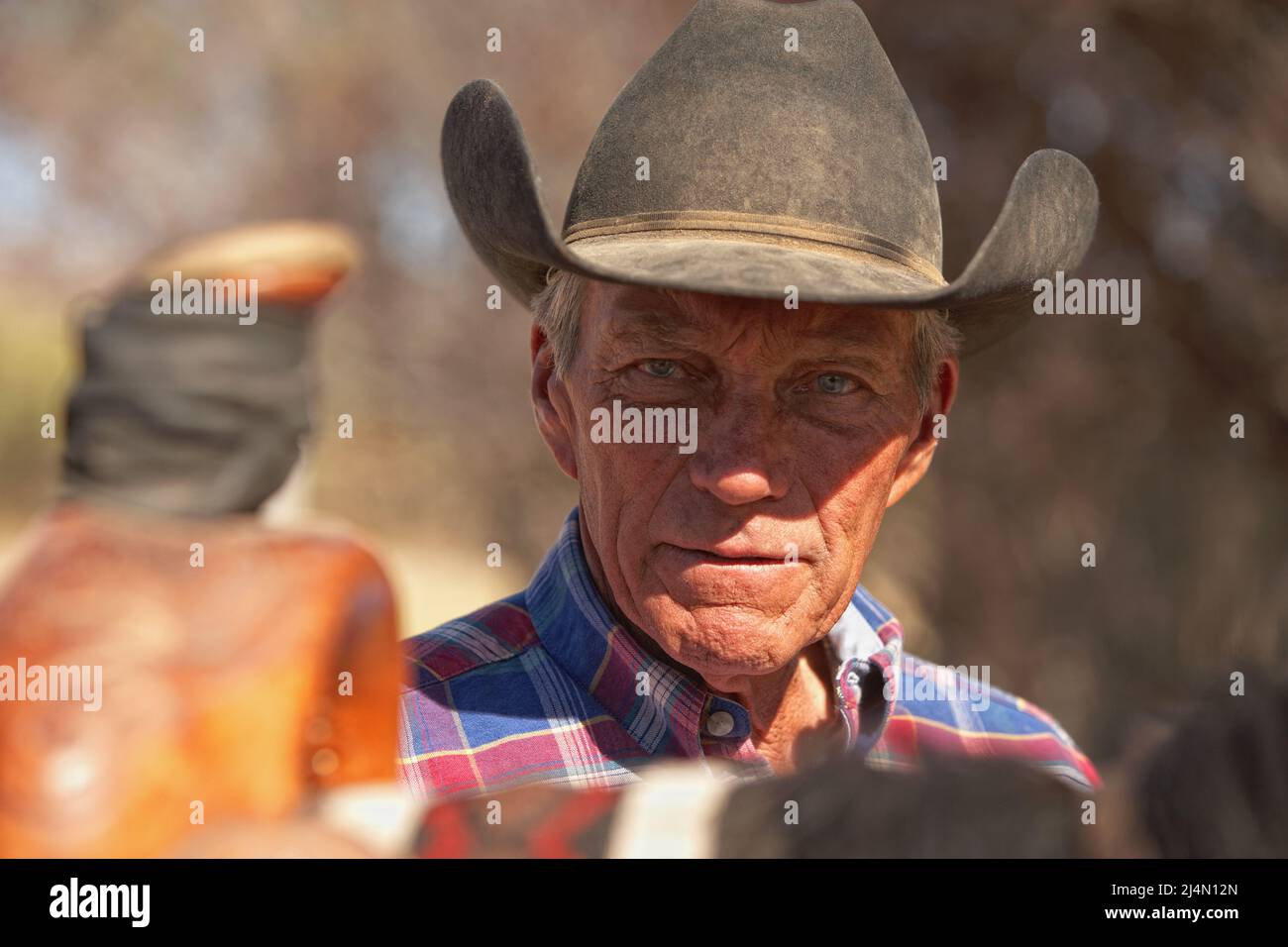 Rancher, cowboy, aged 60-70 with dusty black hat looking at camera ...