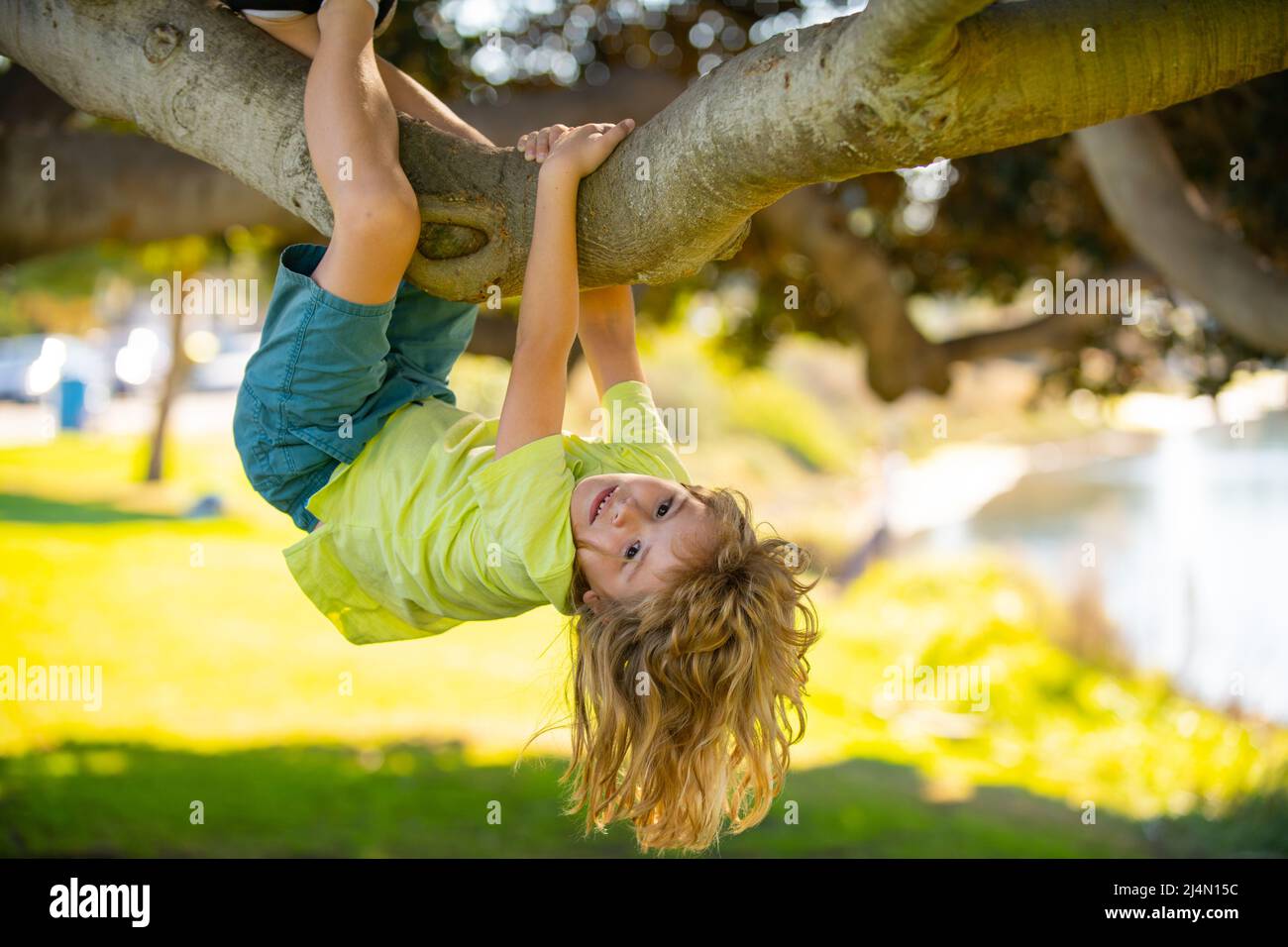 Cute blonde child boy hangs on a tree branch. Summer holidays, little ...