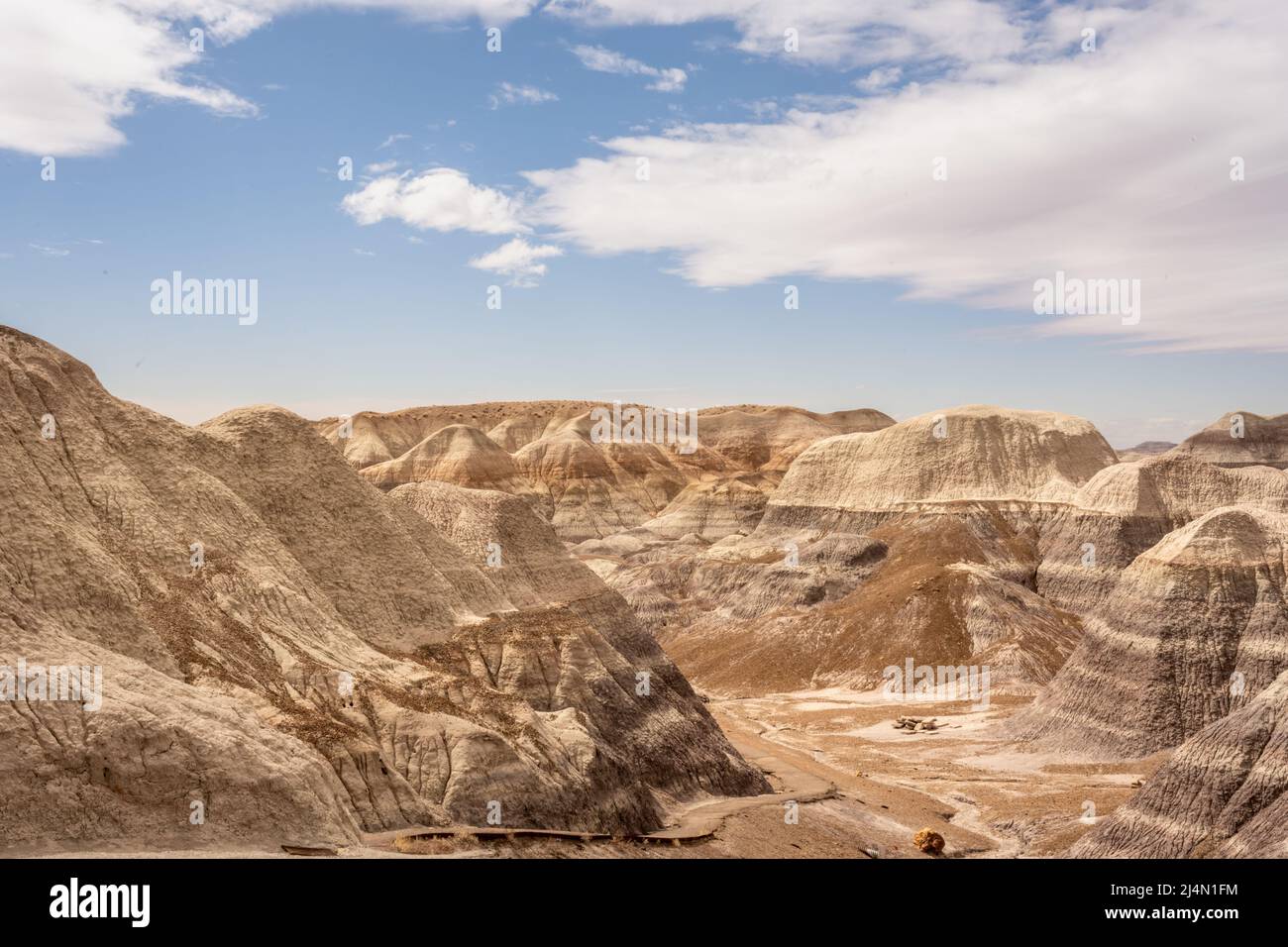 Blue Forest Trail Dropping Down Through A Canyon of Hoodoos in ...