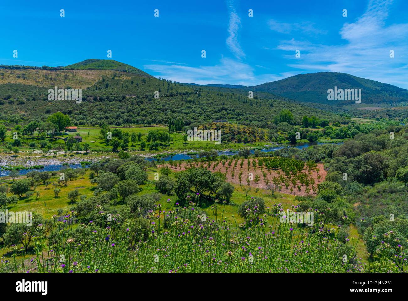 Landscape of Alagon river in Spain Stock Photo - Alamy