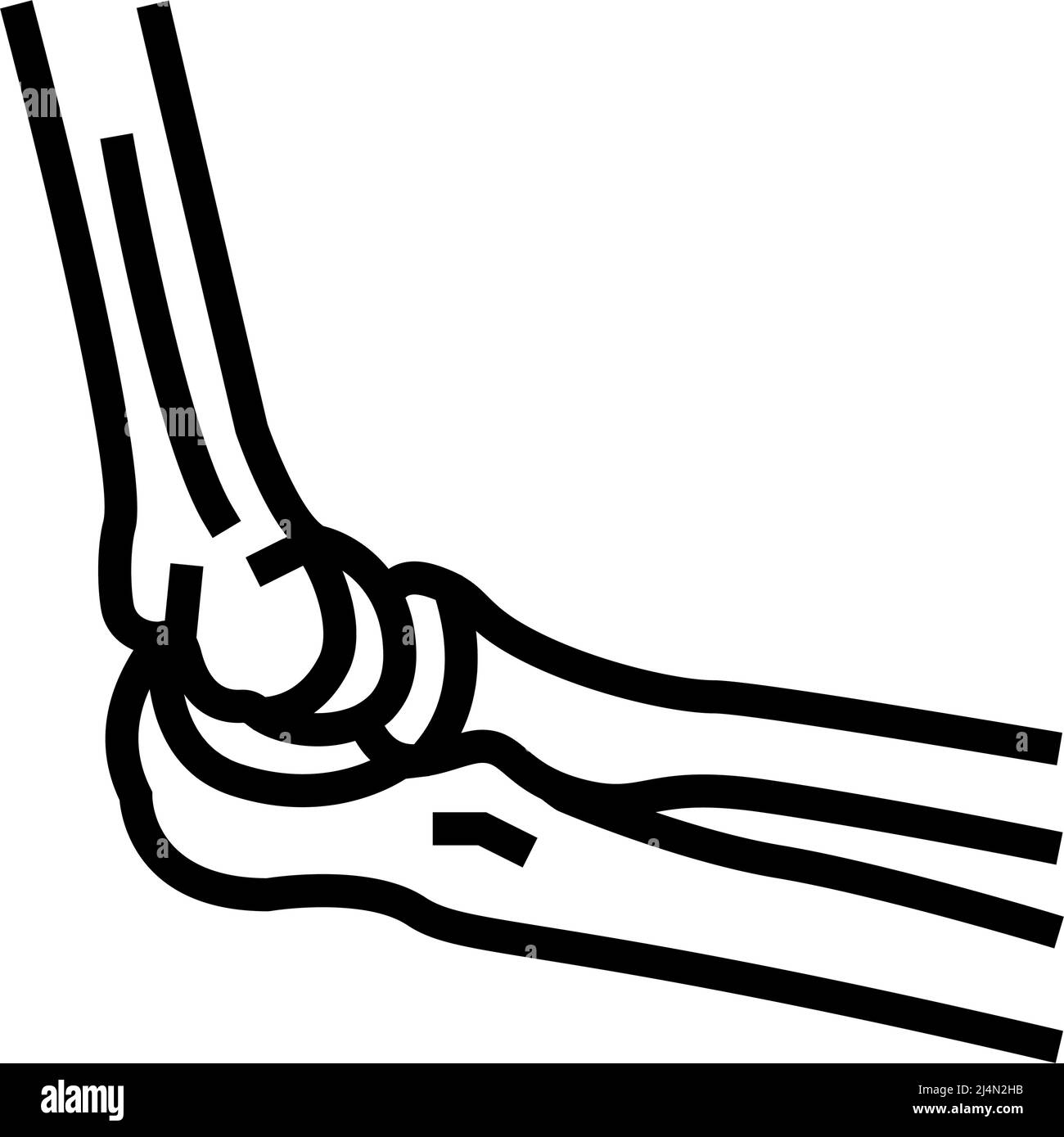 elbow bone line icon vector illustration Stock Vector Image & Art - Alamy