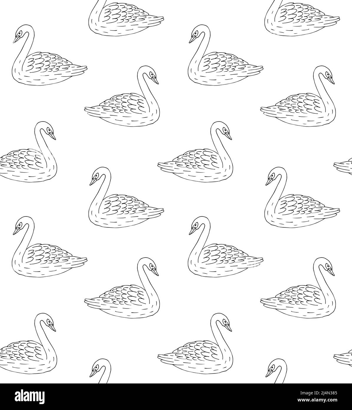 Vector seamless pattern of hand drawn doodle sketch swan isolated on ...