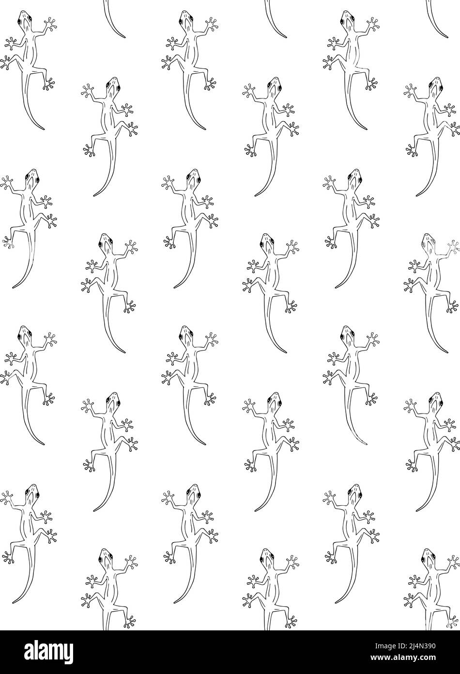 Vector seamless pattern of hand drawn doodle sketch gecko lizard ...