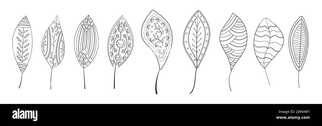 Leaves vector set in line art style. Ethnic tribal leaf in hand drawn ...