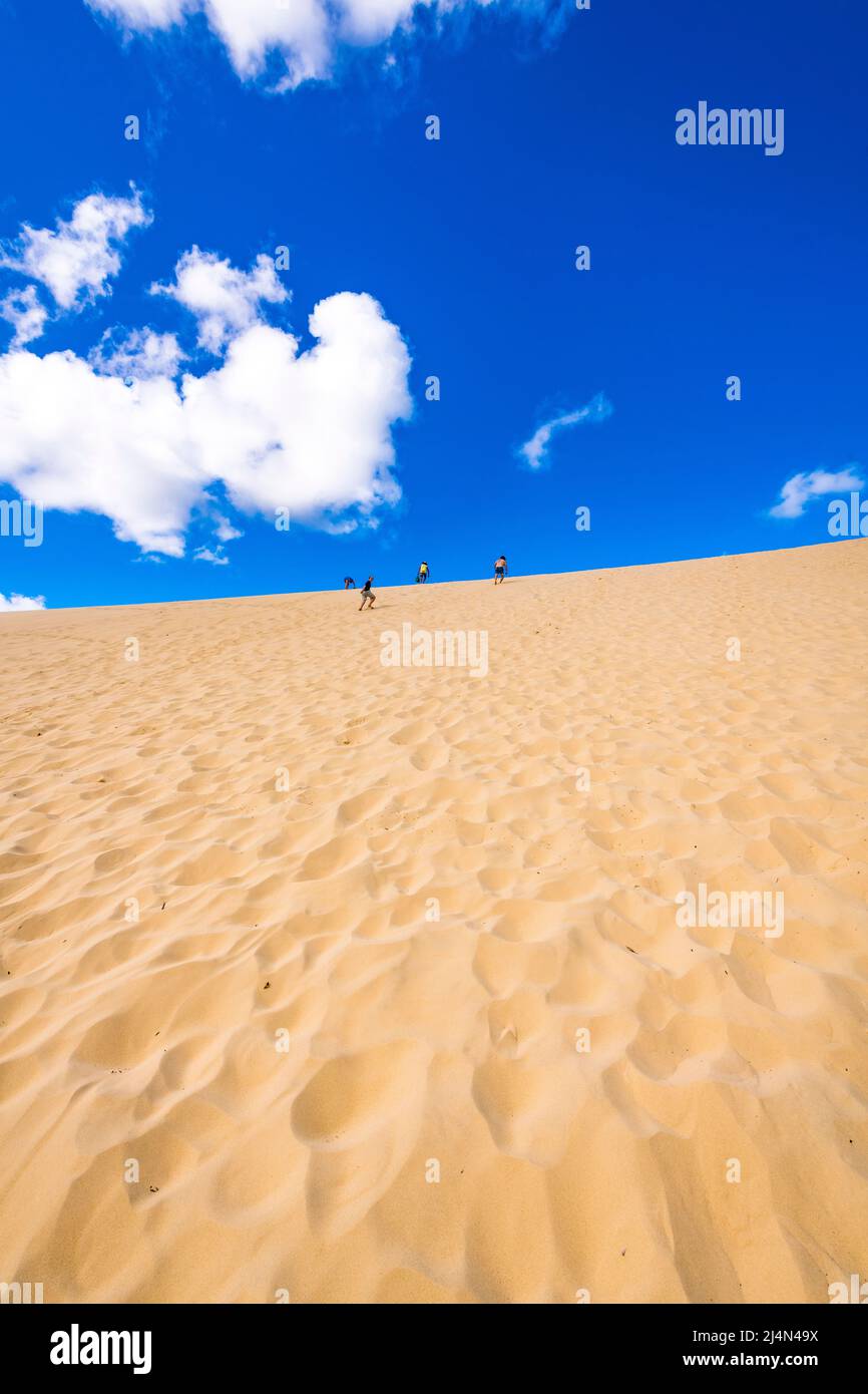 A group of tourists climb the steep sand dune on the Hammerstone ...