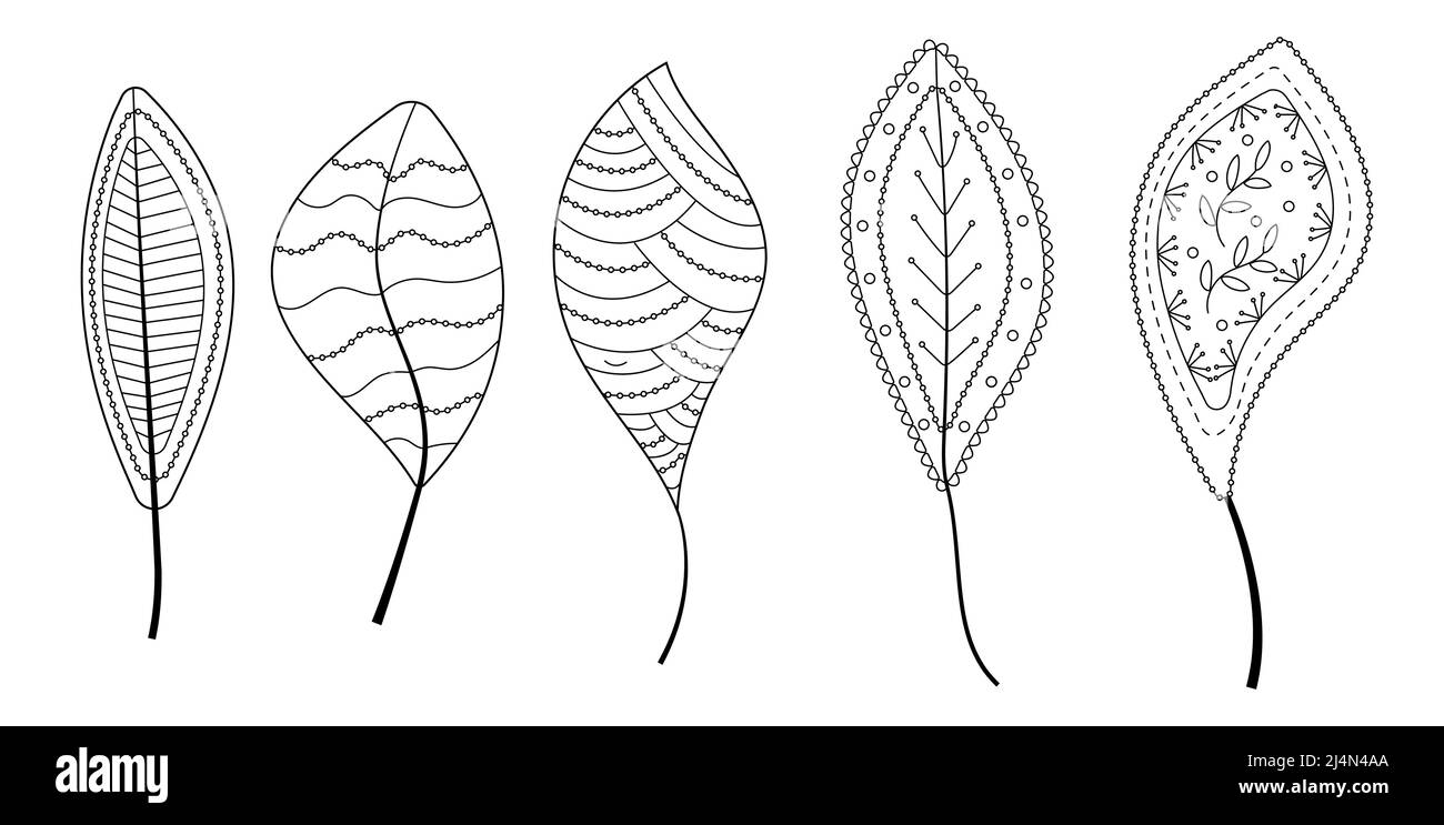 Leaves vector set in line art style. Ethnic tribal leaf in hand drawn ...