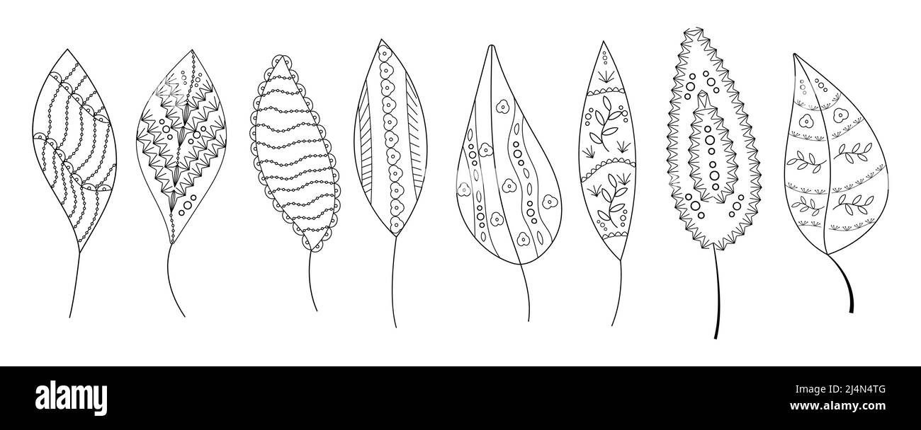 Leaves vector set in line art style. Ethnic tribal leaf in hand drawn ...