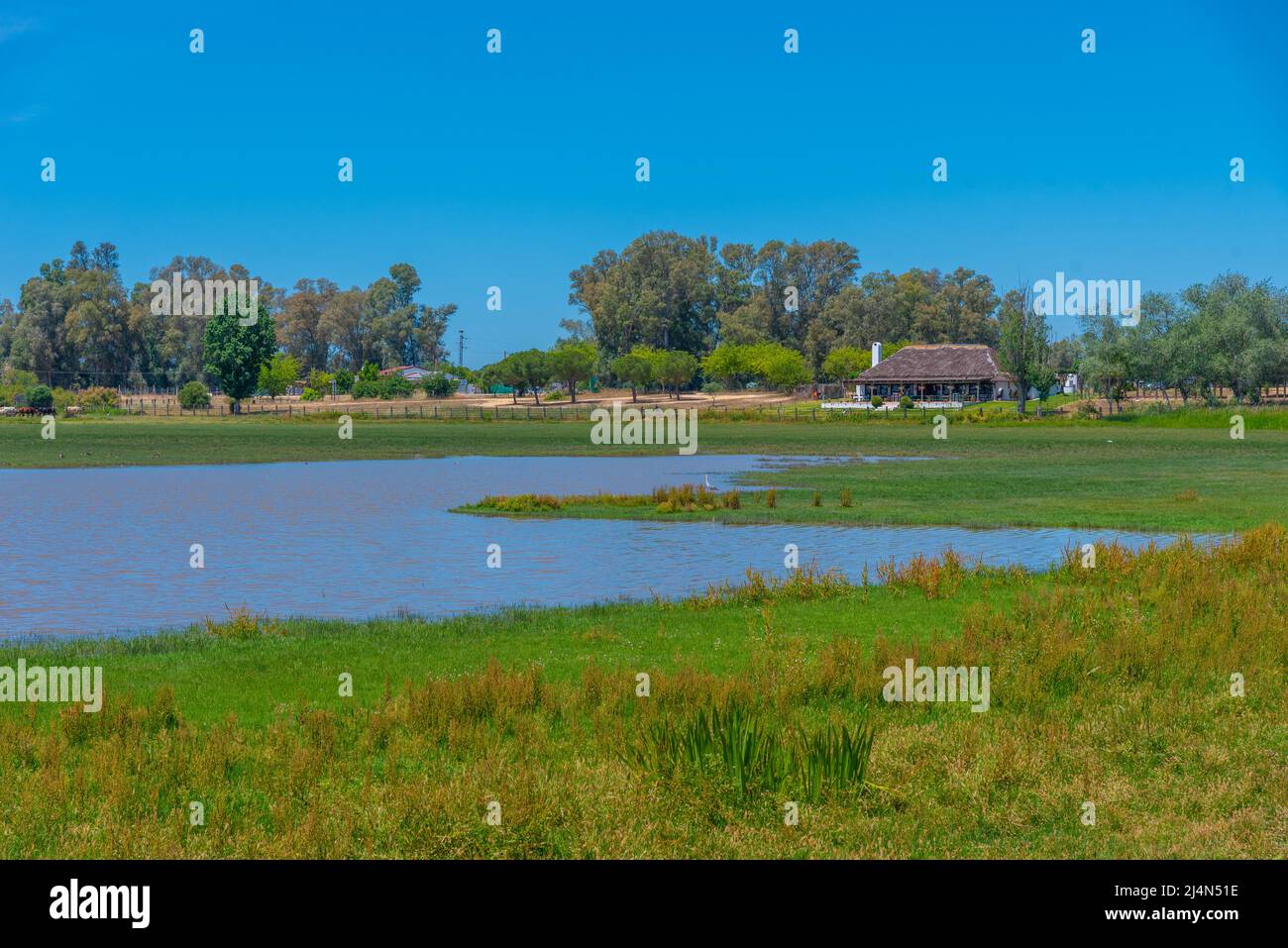 Marshes of donana hi-res stock photography and images - Alamy