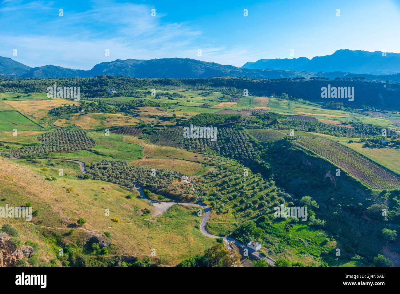 Countryside of Andalusia near Ronda in Spain Stock Photo - Alamy