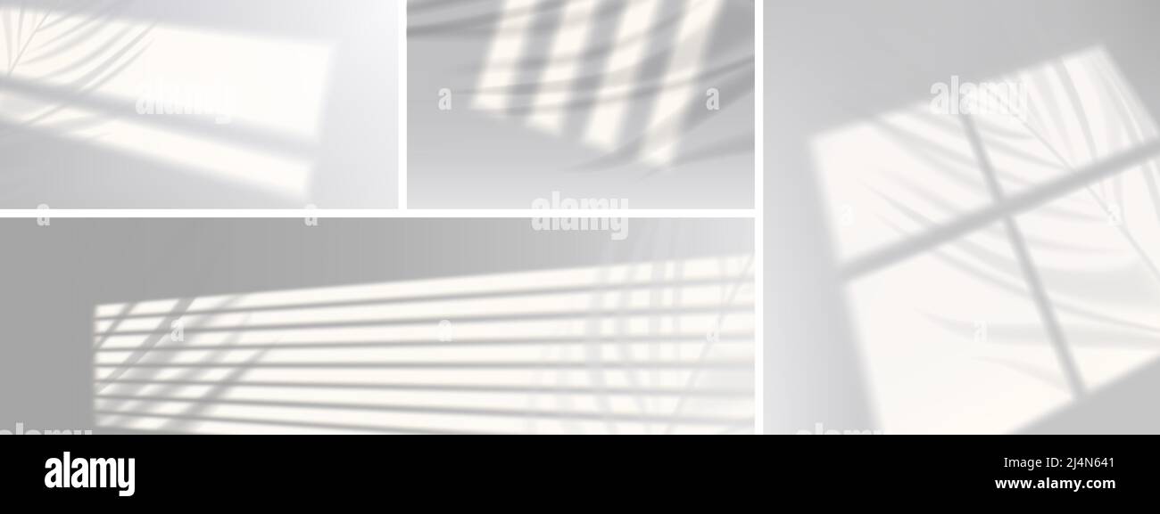 Window shadows with plant branches on wall, realistic light blinds ...