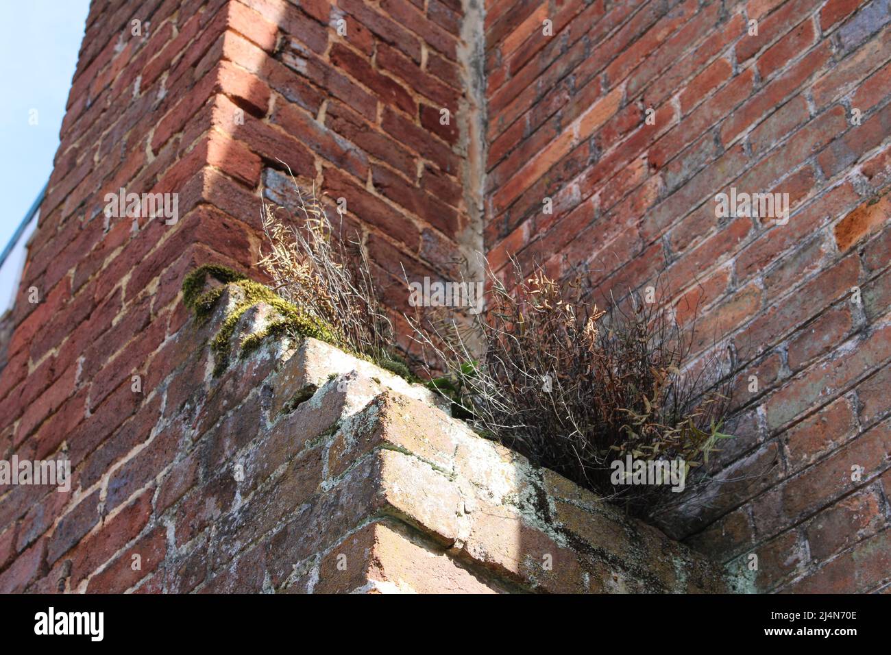 Battered brickwork hi-res stock photography and images - Alamy