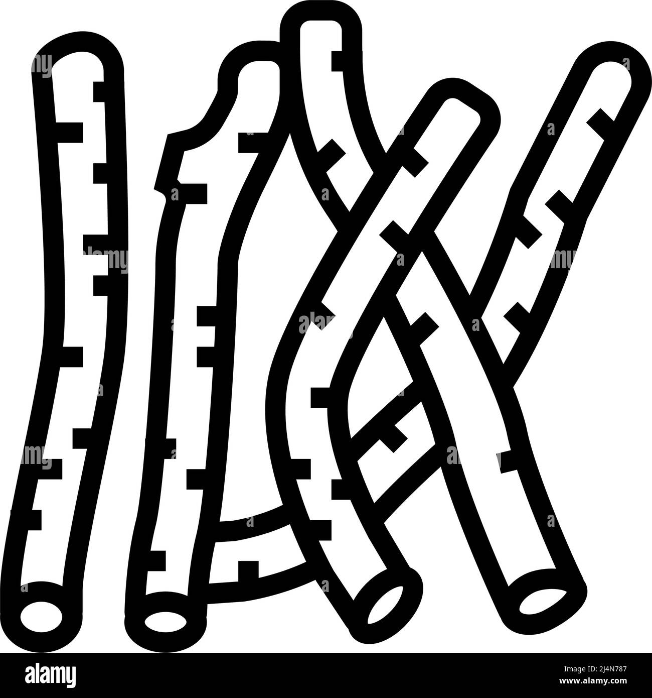 licorice plant line icon vector illustration Stock Vector Image & Art ...