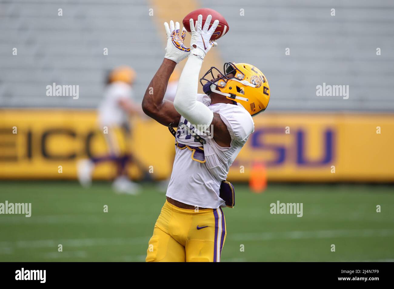 Spring _8 of 96_ jpg hi-res stock photography and images - Alamy