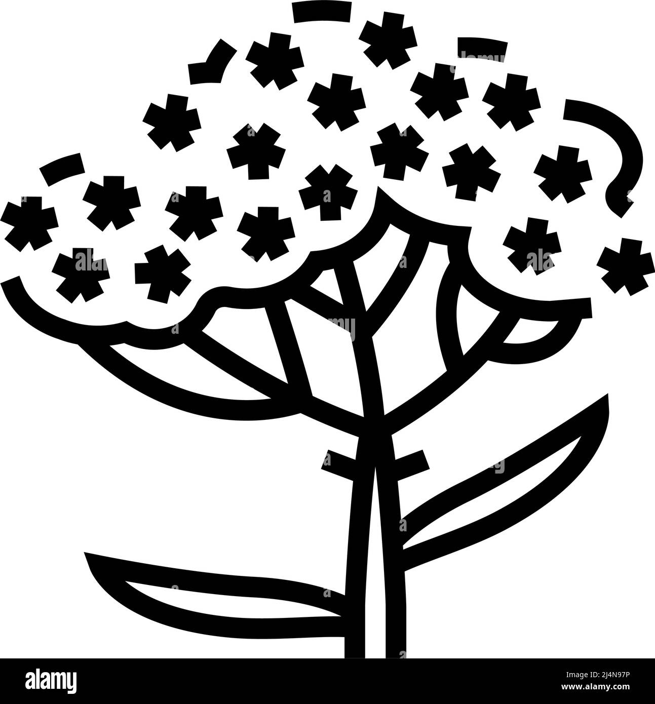 yarrow plant line icon vector illustration Stock Vector Image & Art - Alamy