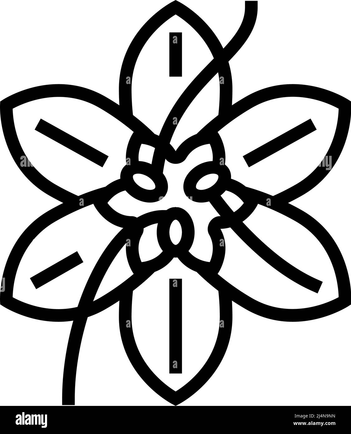 saffron flower bud line icon vector illustration Stock Vector Image ...