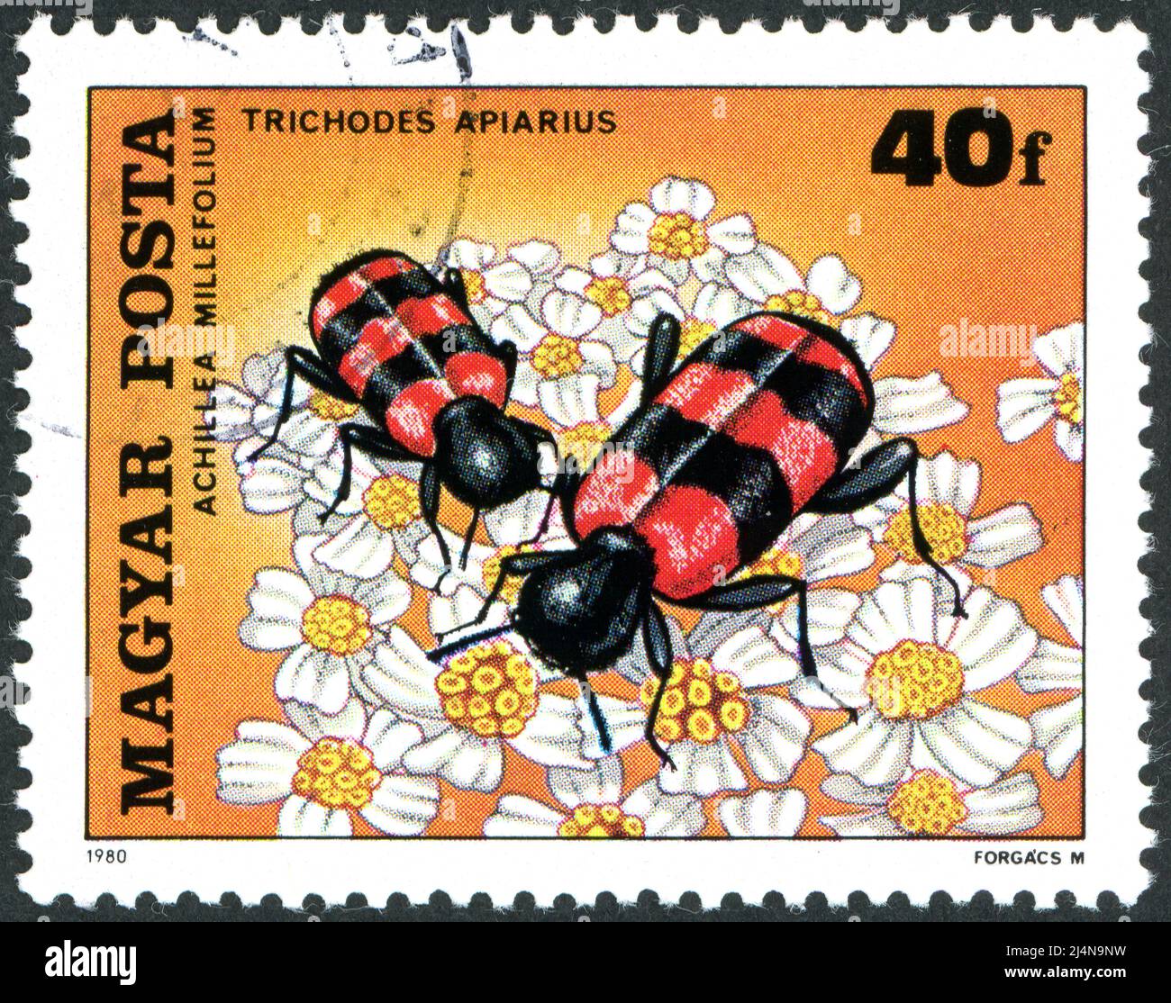 Postage stamp printed in Hungary showing Insects Pollinating Flowers ...