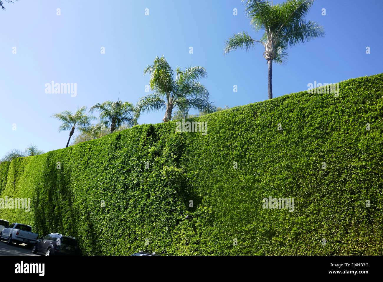 1801 angelo drivecelebrities hi-res stock photography and images - Alamy