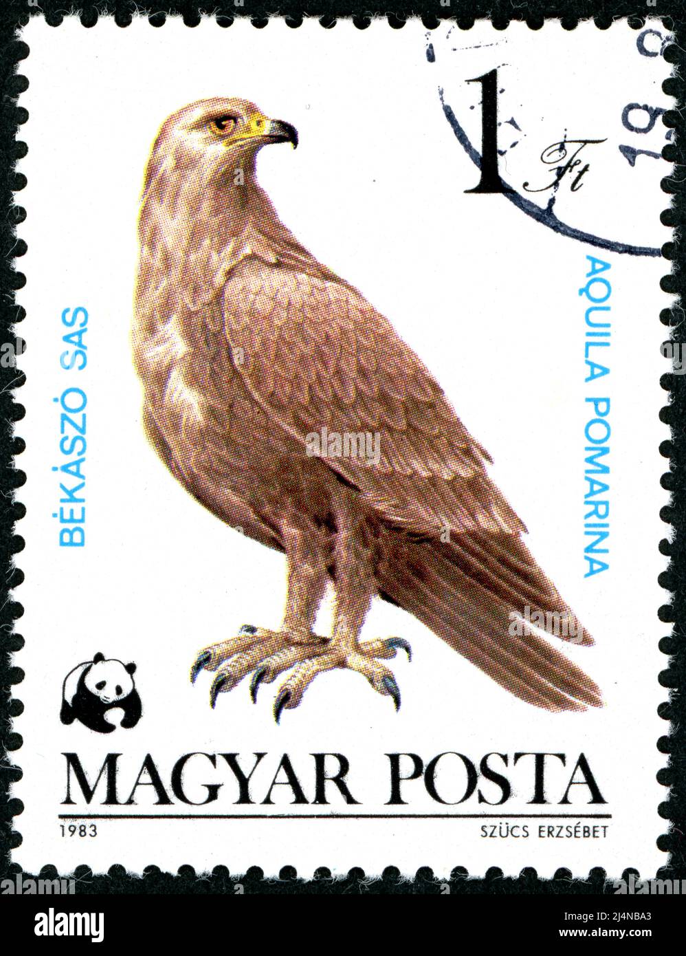 HUNGARY - CIRCA 1983: Postage stamp printed in Hungary, depicted Lesser ...