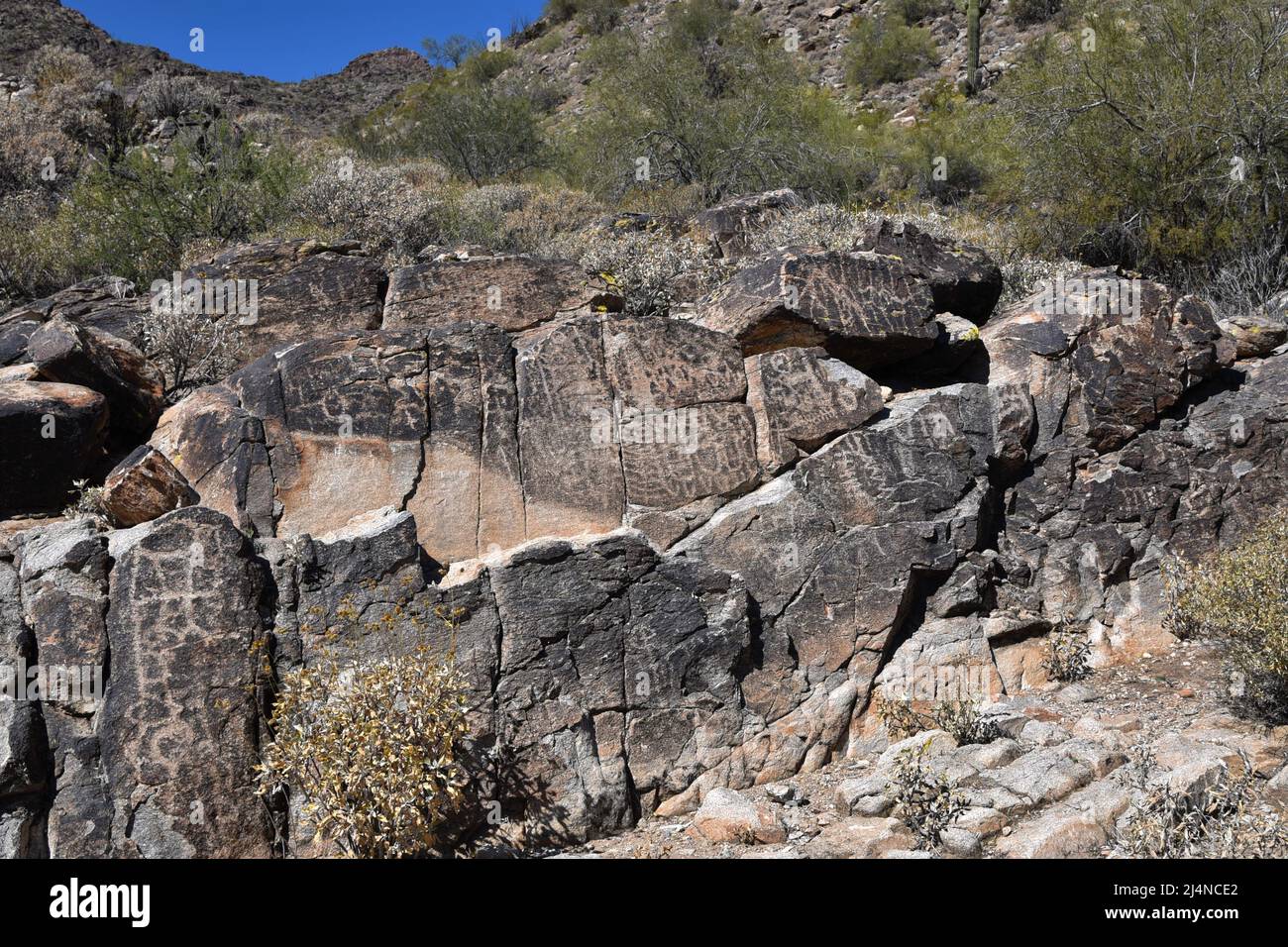 Ancient petroglyphs etched into stone at White Tank Mountain Regional ...