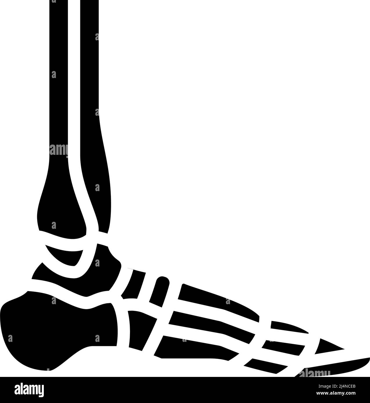 ankle bone glyph icon vector illustration Stock Vector Image & Art - Alamy