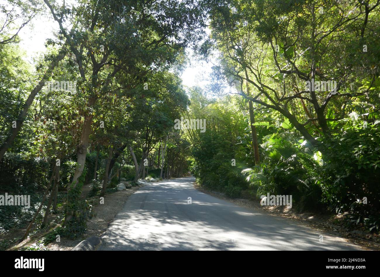 Beverly Hills, California, USA 14th April 2022 A general view of ...