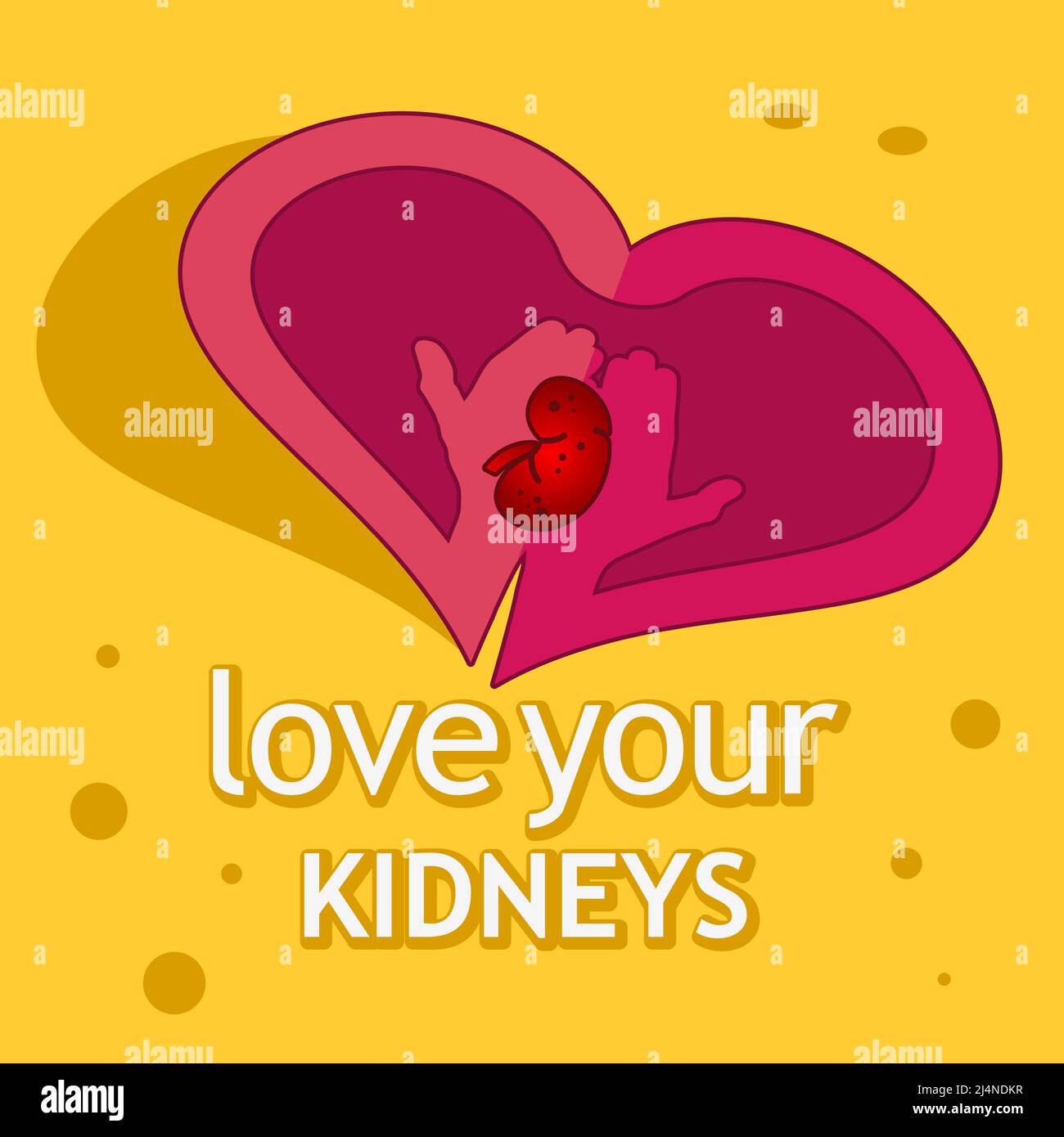 Love your kidneys vector background. Flat design. Vector Illustration ...
