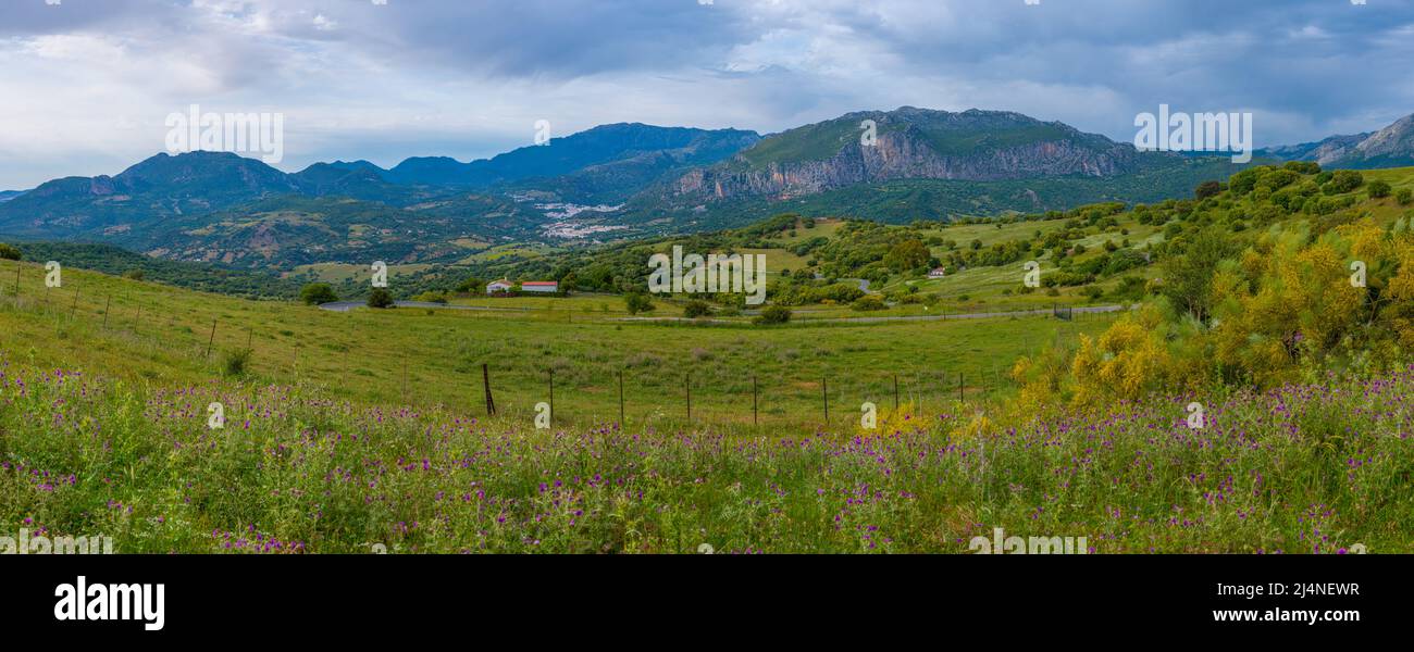 Landscape of Andalusia with Ubrique town, Spain Stock Photo - Alamy