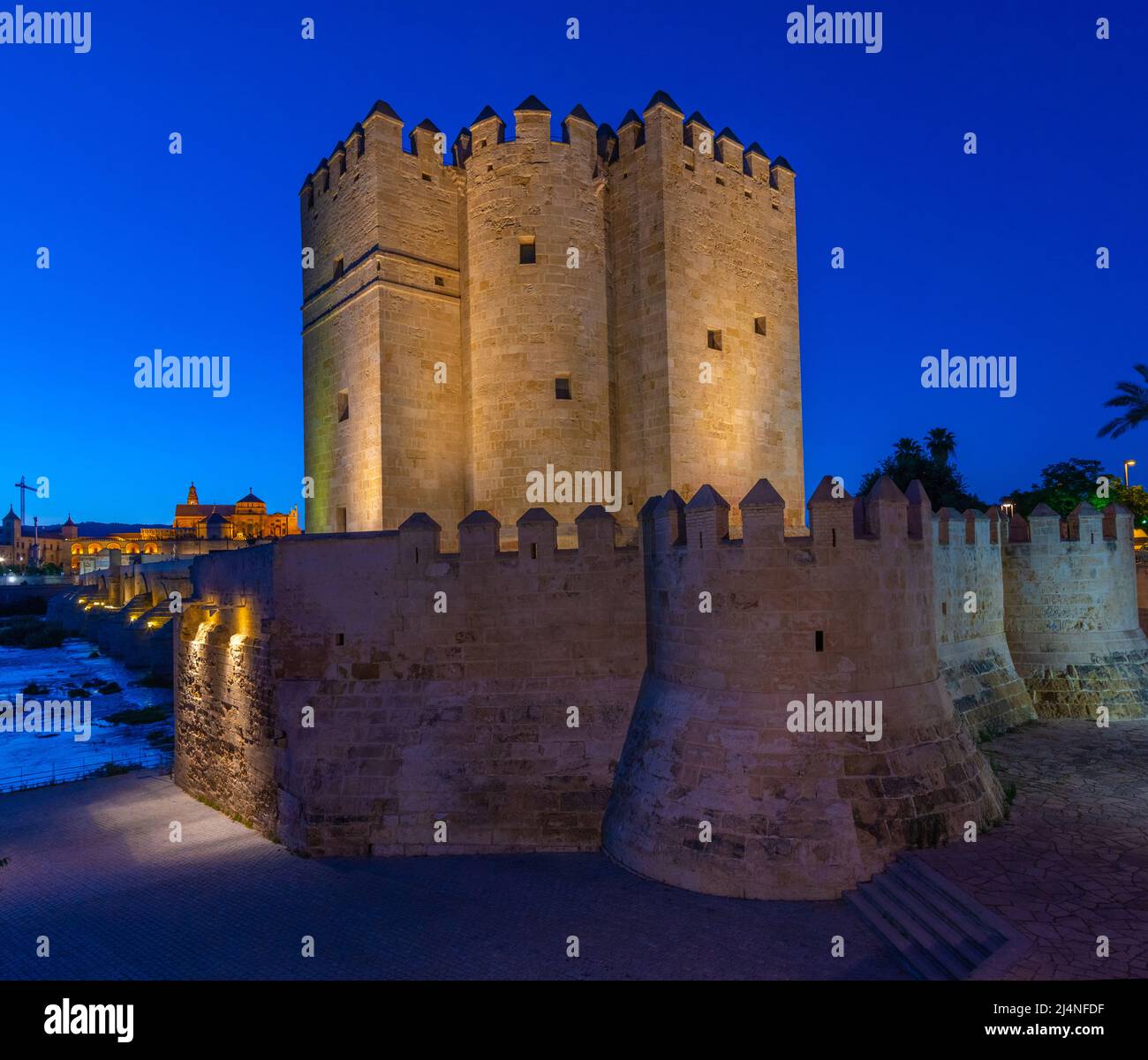 night view of the illuminated roman bridge over river guadalquivir with ...