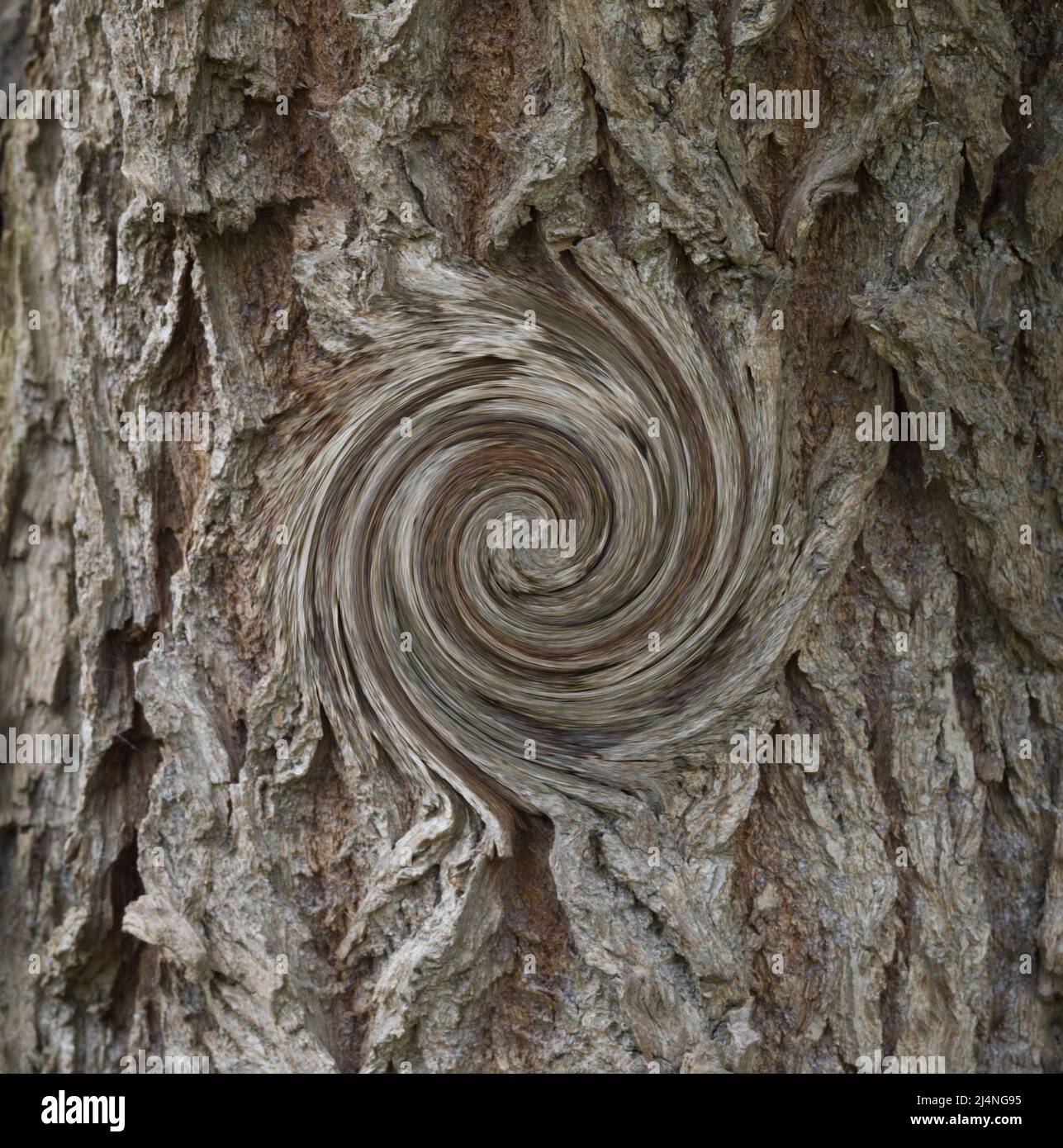 Digitised hi-res stock photography and images - Alamy