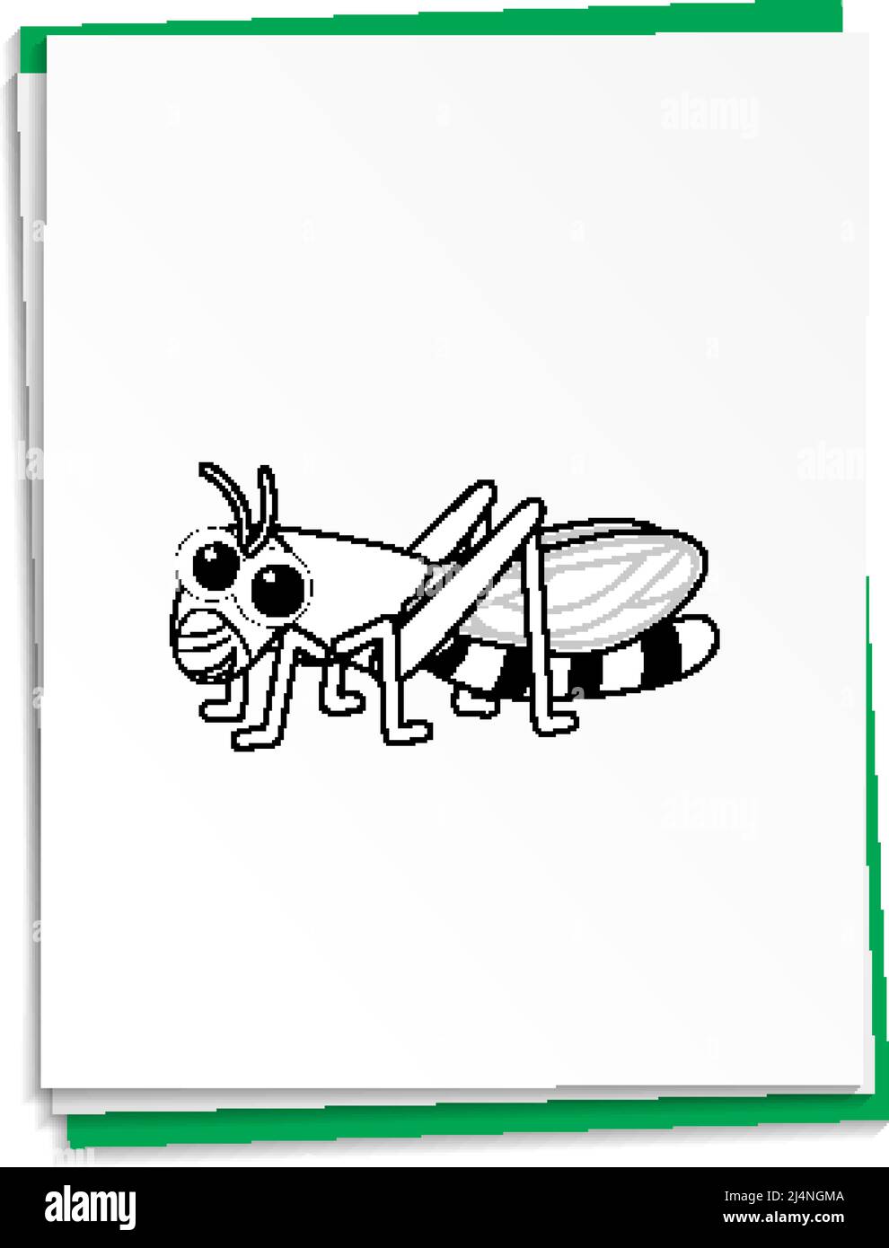 Hand drawn grasshopper on paper illustration Stock Vector Image & Art ...