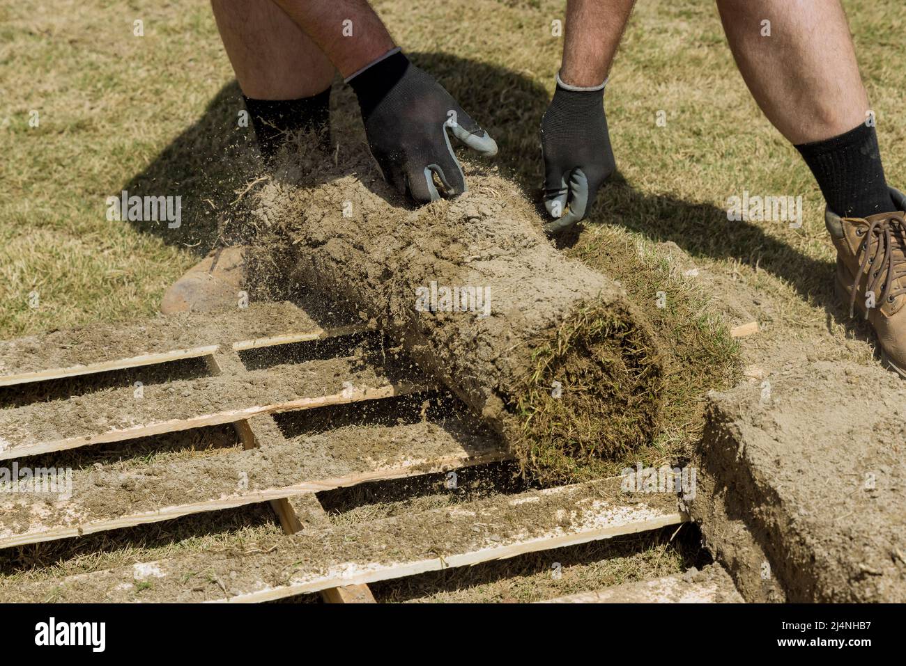 Rolled grass lawn closeup is ready for laying natural grass Stock Photo ...