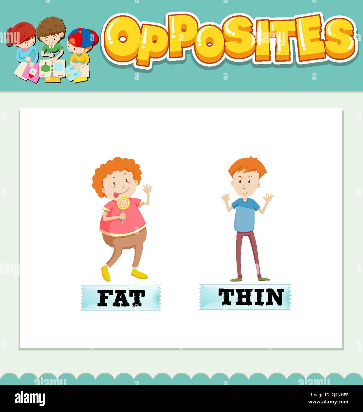 Opposite words for fat and thin illustration Stock Vector Image & Art ...