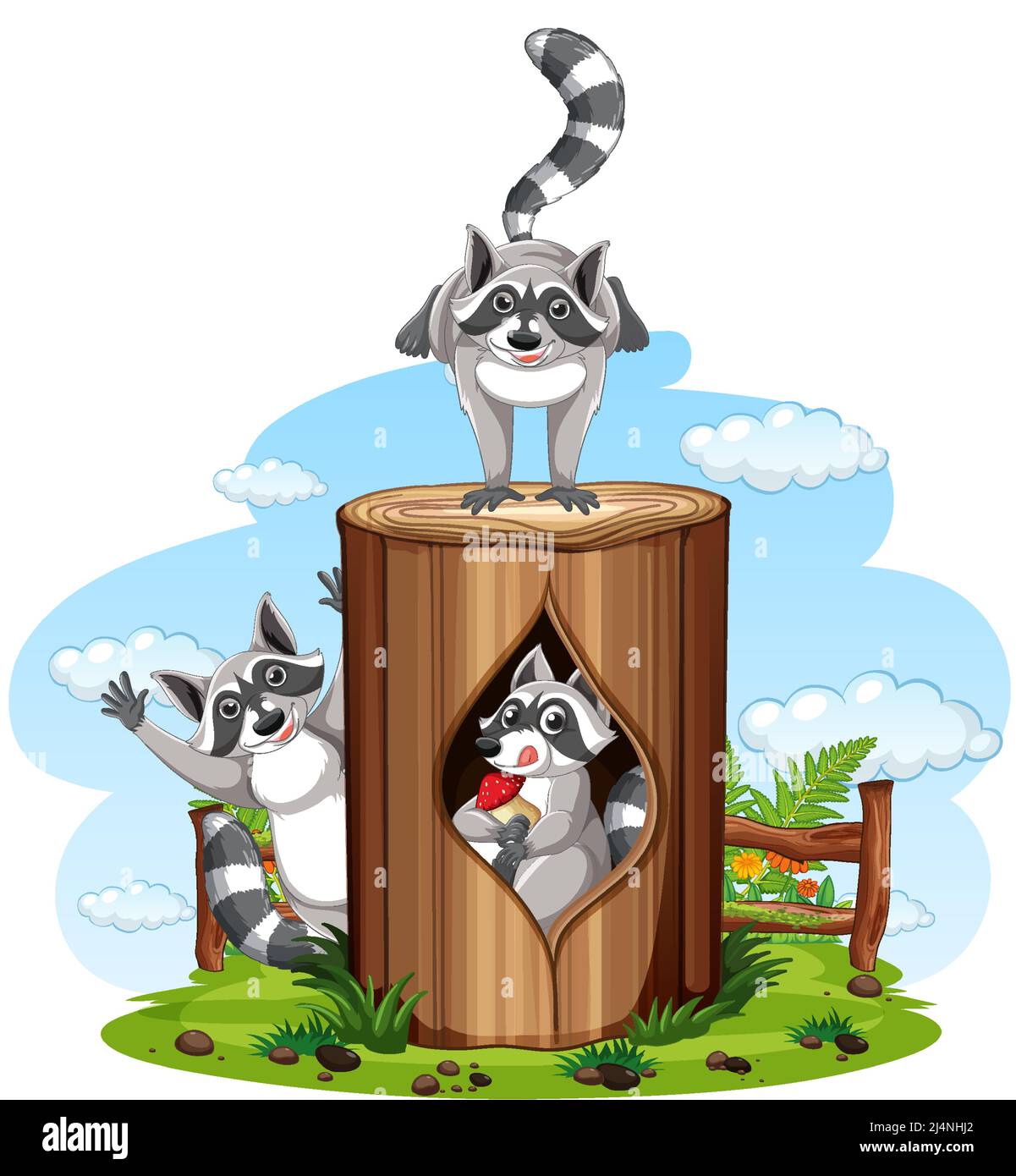 Three raccoons playing in the park illustration Stock Vector Image ...