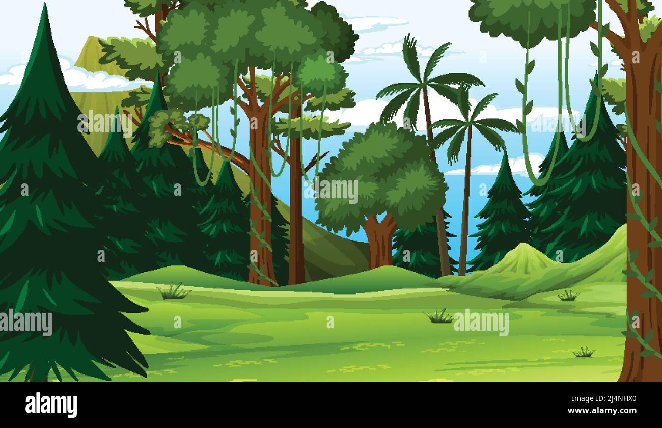 Empty forest environment background illustration Stock Vector Image & Art - Alamy