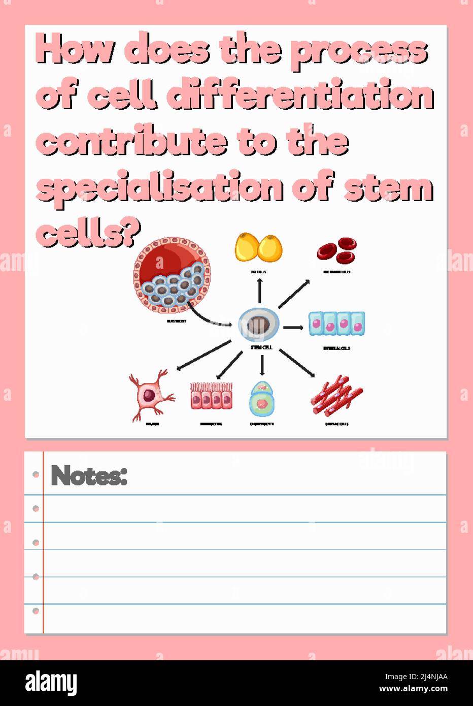 Science Experiment Log Worksheet illustration Stock Vector Image & Art ...