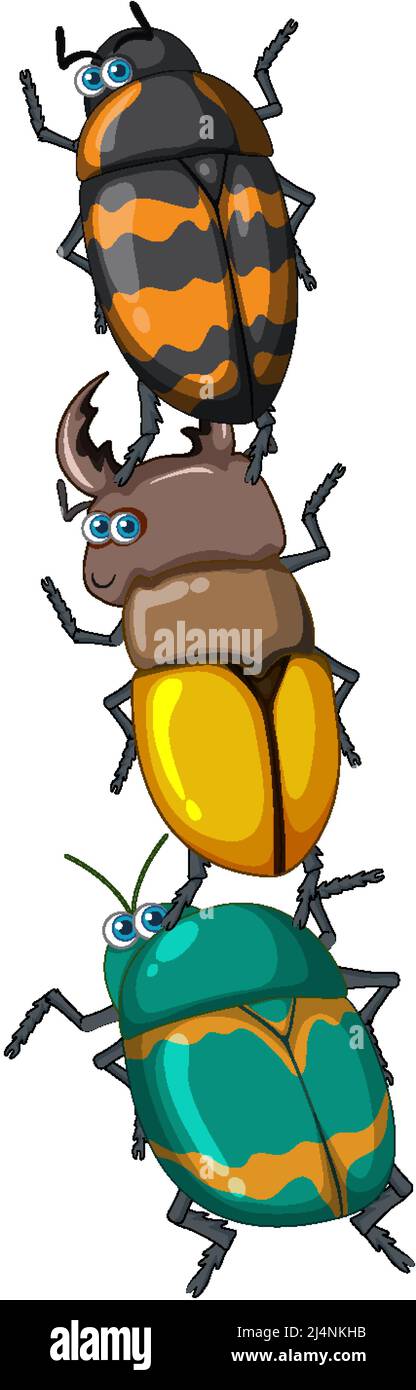 Three beetle on white background illustration Stock Vector Image & Art ...