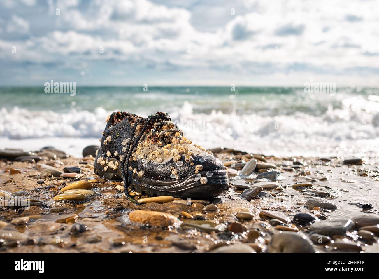 Concept of environmental protection and pollution. An old Shoe, covered ...