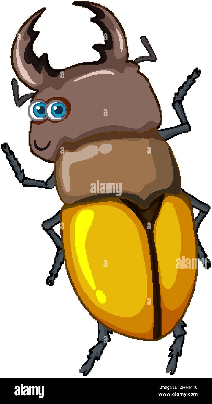 A beetle cartoon character isolated illustration Stock Vector Image ...