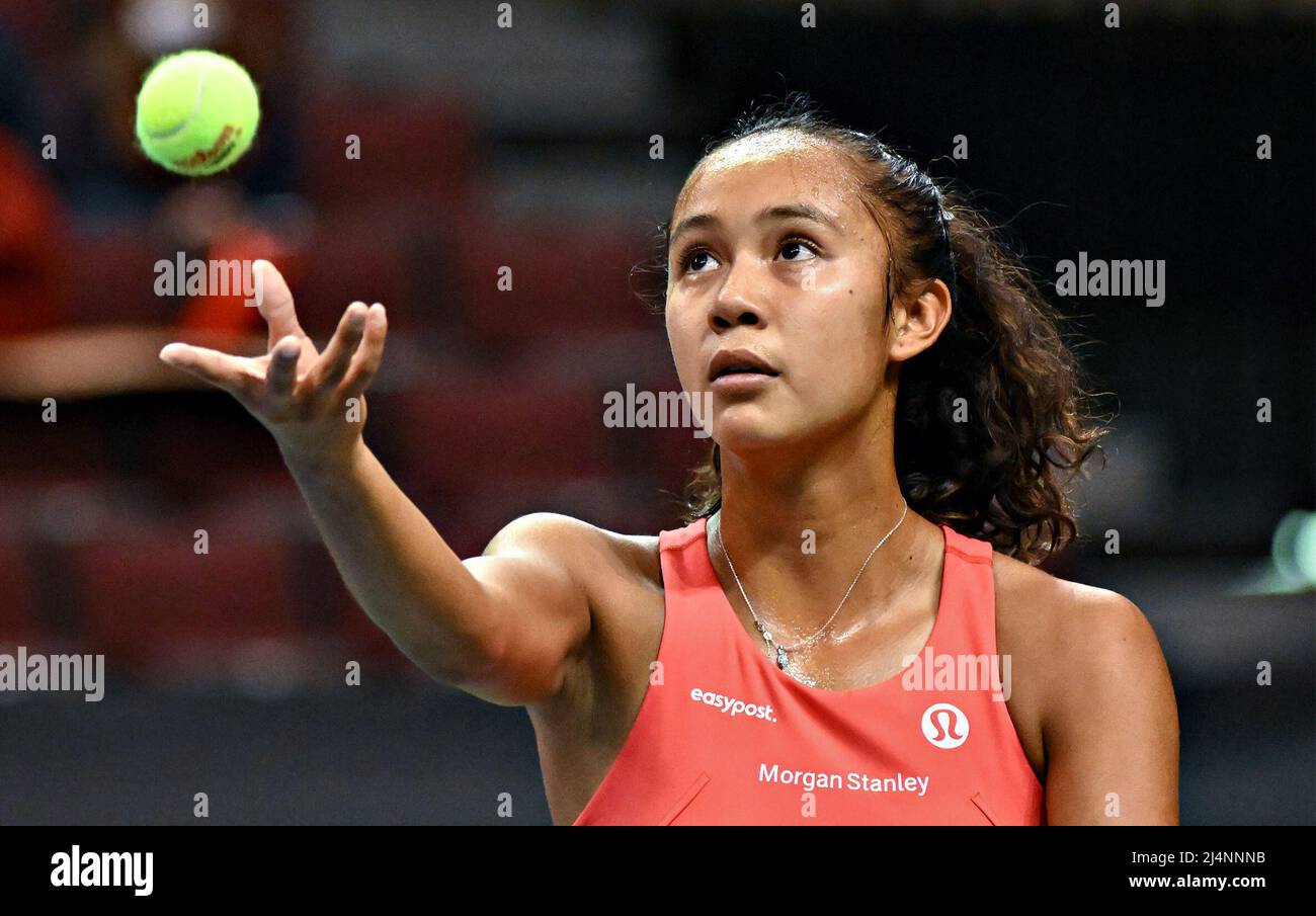 Daniela vismane hi-res stock photography and images - Alamy