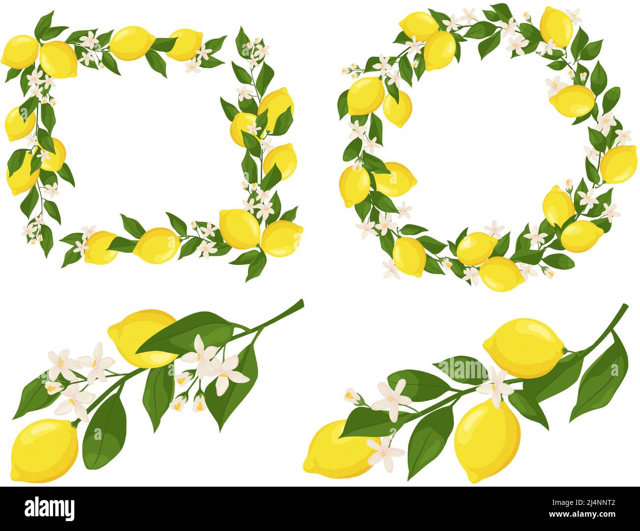 Lemon Flower Vector