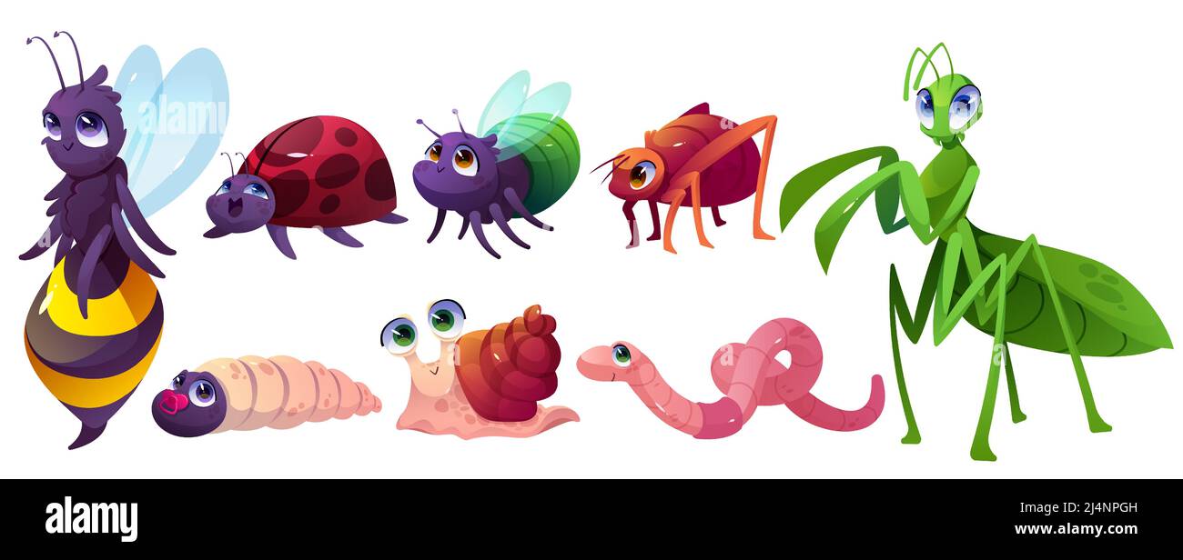Cartoon cute insects characters snail, bee or wasp, ladybug, fly ...