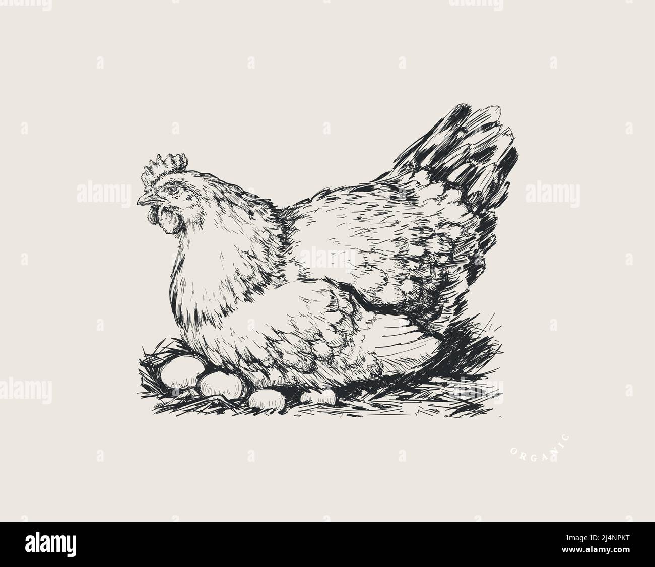 Chicken in the Nest. Organic. Fresh. Farm. Eggs packaging design ...