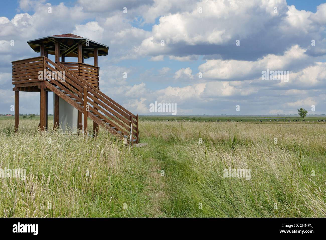 lookout tower in Katinger Watt Nature Reserve,Eiderstedt Peninsula ...