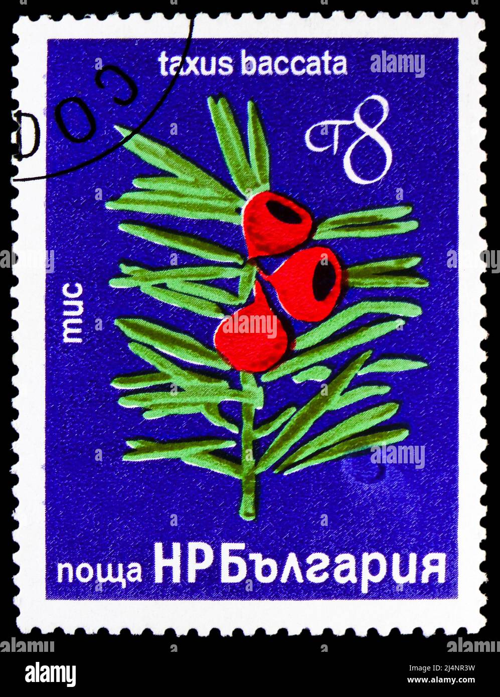 MOSCOW, RUSSIA - MARCH 27, 2022: Postage stamp printed in Bulgaria ...