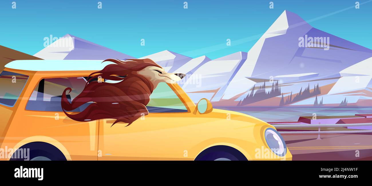Happy dog rides in car with head out in open window. Vector cartoon ...
