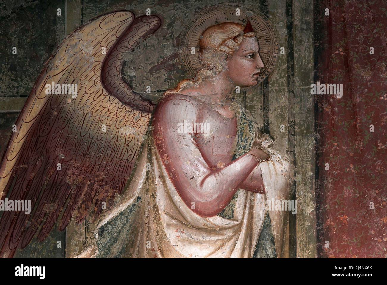 Italian late gothic or early renaissance frescoes hi-res stock ...