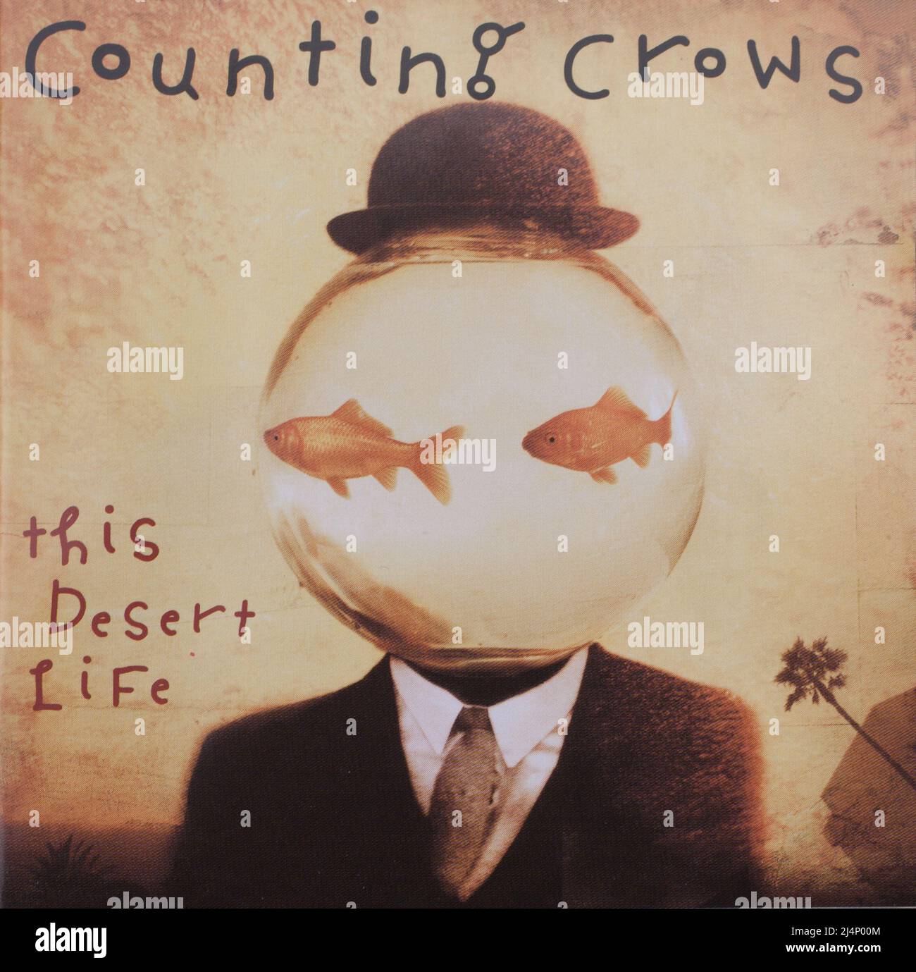 The CD album cover to This Desert Life by Counting Crows Stock Photo ...
