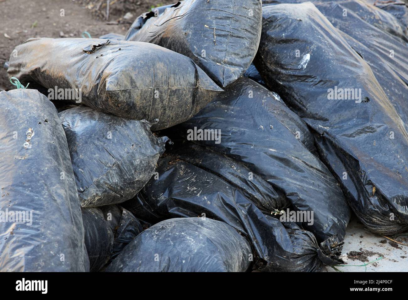 Pile of black dirty plastic trash bags Stock Photo - Alamy
